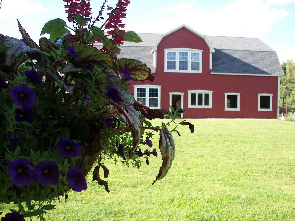 Cool Breeze Farm on EquineNow