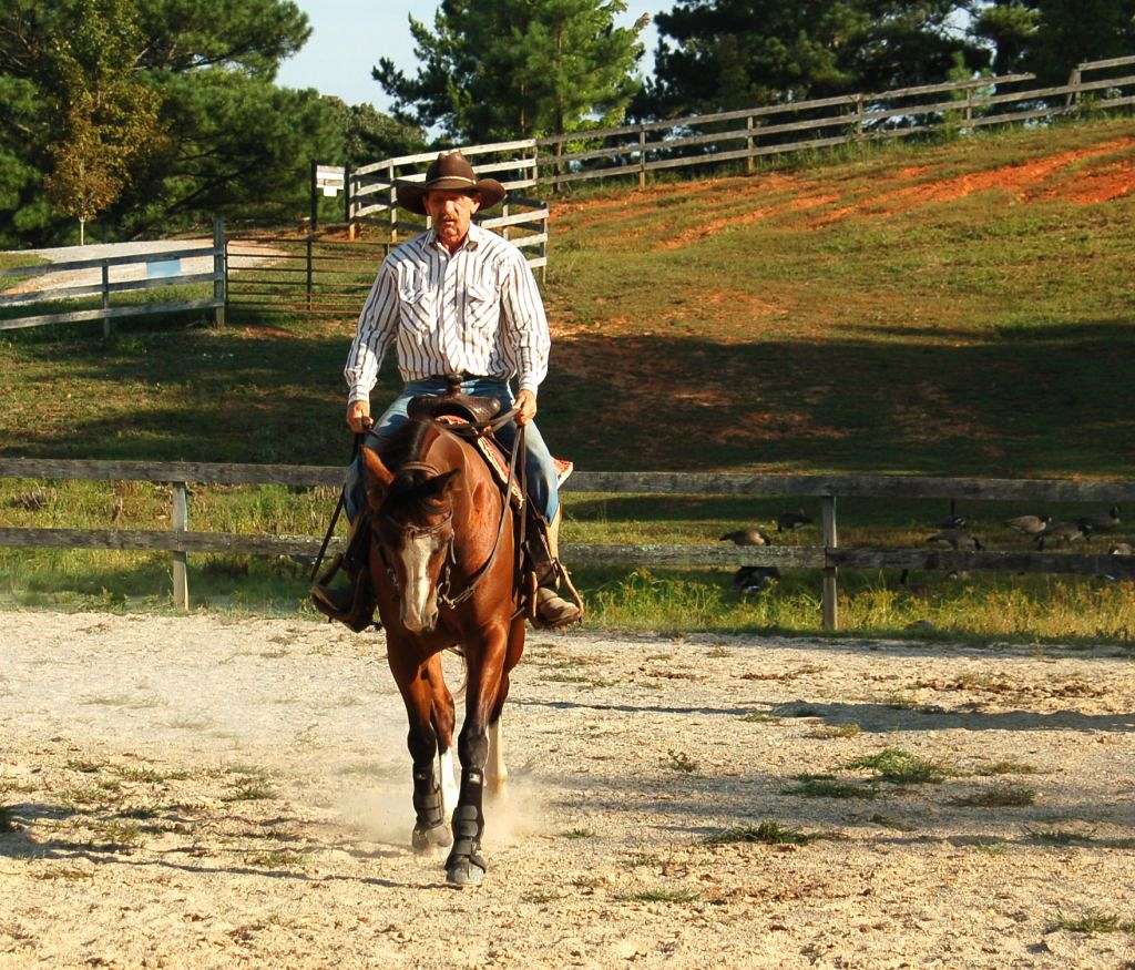 Lazy Bar C Ranch on EquineNow