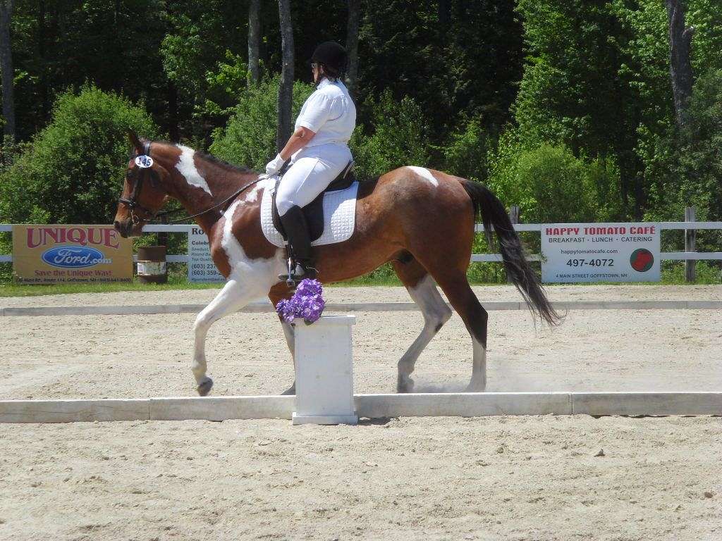 In Hock Farms on EquineNow