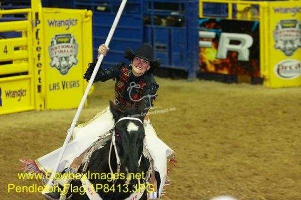 TNT Performance Horses on EquineNow