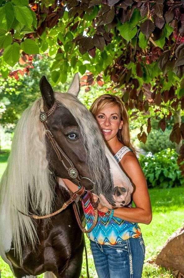 Kelly Meyer Performance Horses on EquineNow