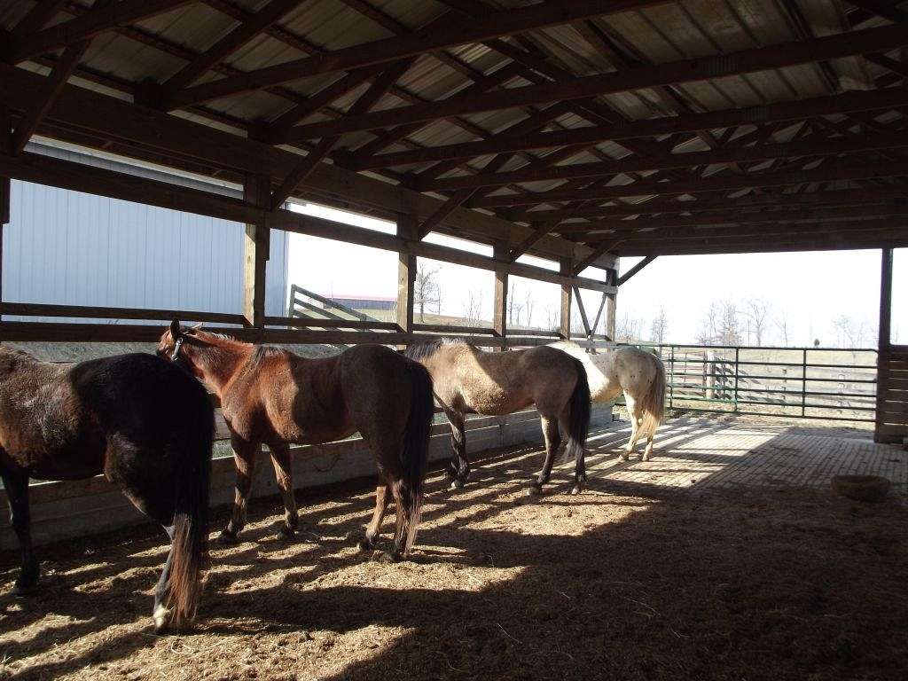 McLain Farms on EquineNow