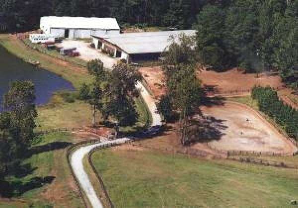 Blue Springs Farm on EquineNow