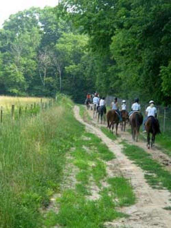 Riding Center on EquineNow