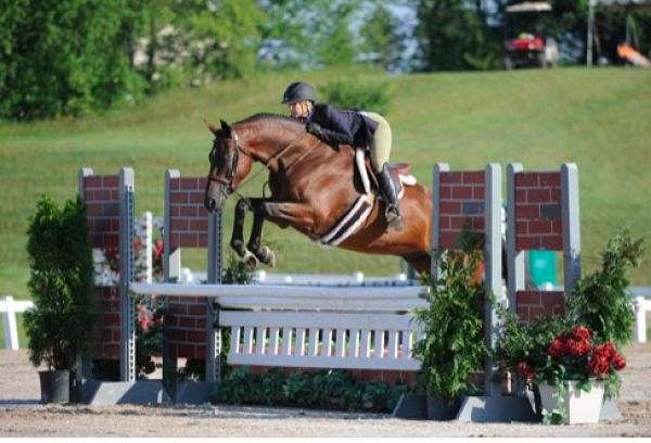 Hidden Brook Farm on EquineNow