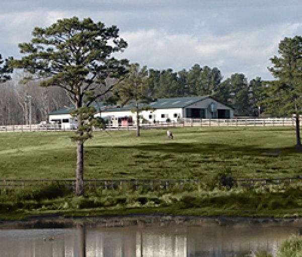 Phillips Farm on EquineNow