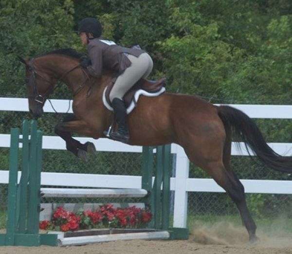 Fabrizius Farm on EquineNow