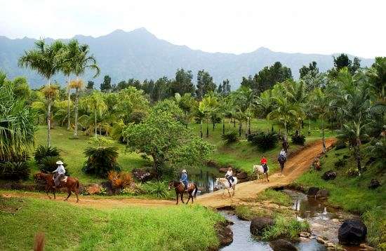 Silver Falls Ranch on EquineNow