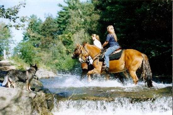 Mountain Creek Riding Stable on EquineNow