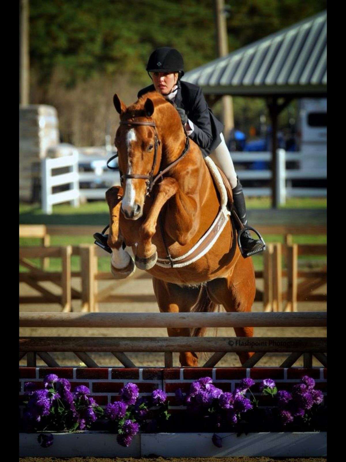 Step-N-Free Stables on EquineNow