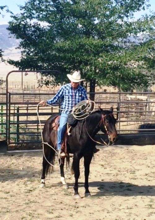 Bar O Ranch on EquineNow