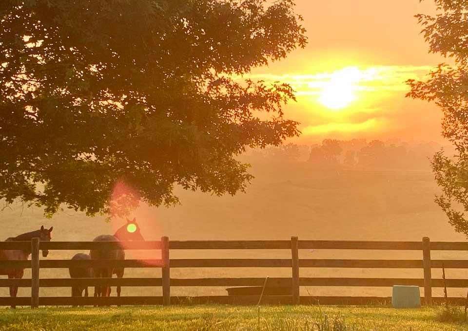 Stone Tavern Stable on EquineNow