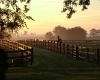 Foxton Farm on EquineNow