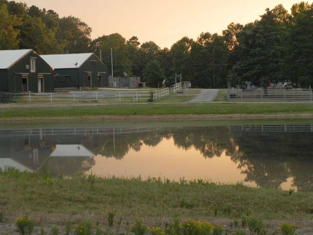 Cedar Ridge Farms on EquineNow