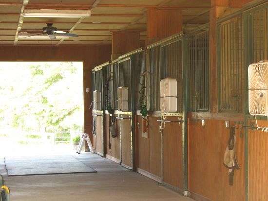 Postage Stamp Farm on EquineNow