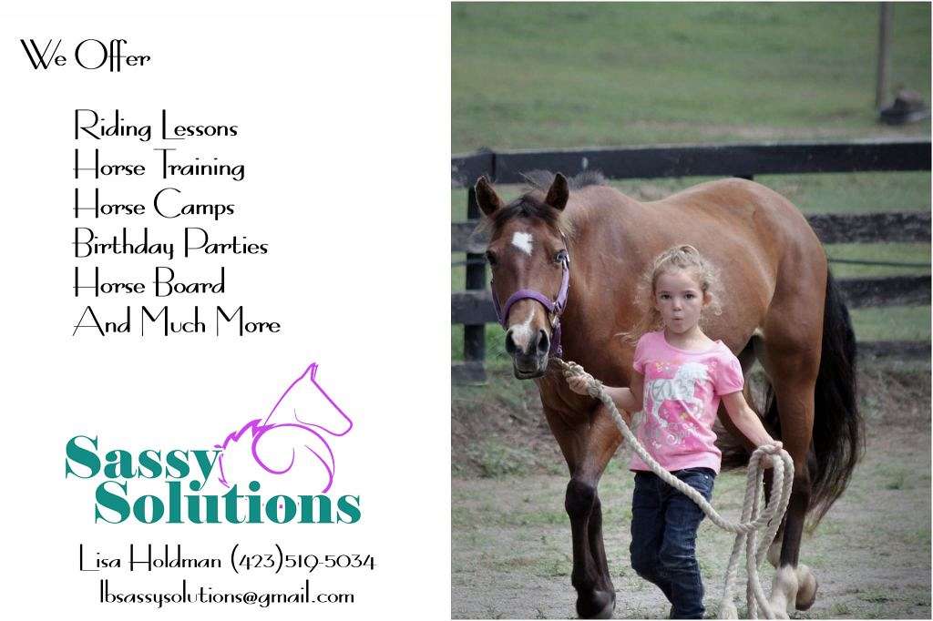 LB Equine at Sunnyside Stables on EquineNow