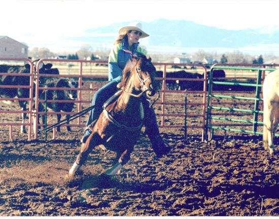 Double Starz Ranch on EquineNow