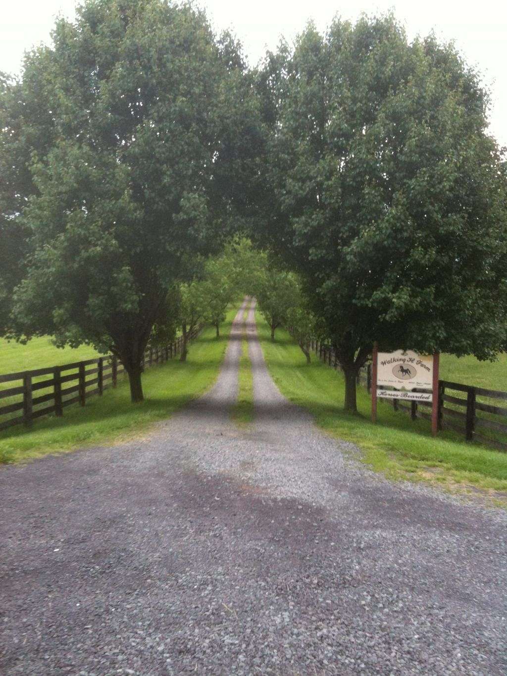 Walking H Farm on EquineNow