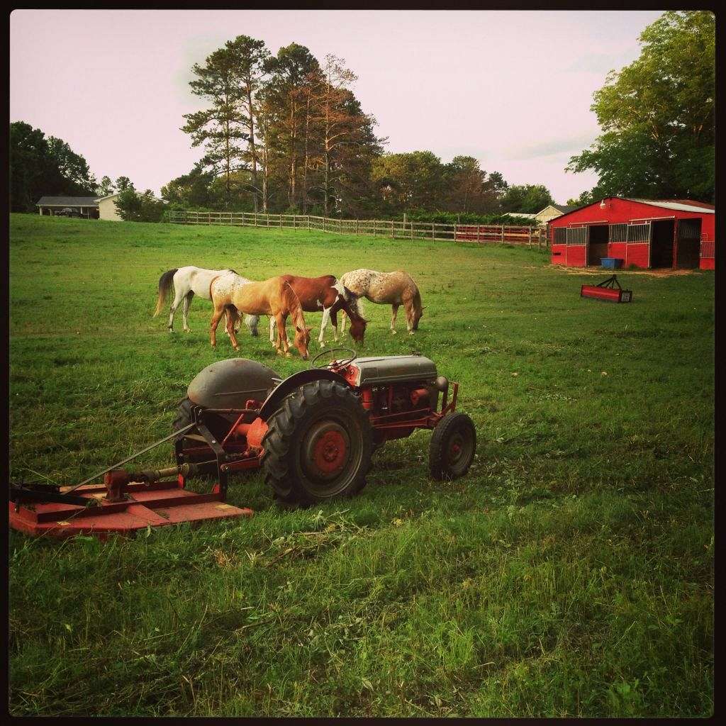 Smiling Face Ranch on EquineNow