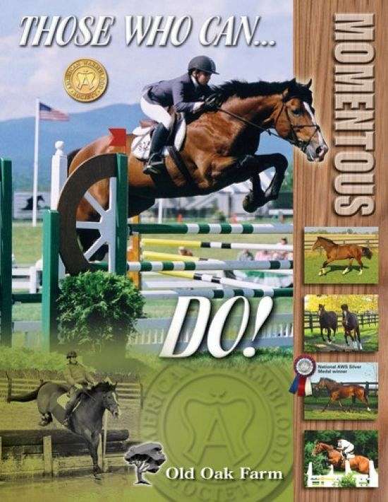 Old Oak Farm on EquineNow