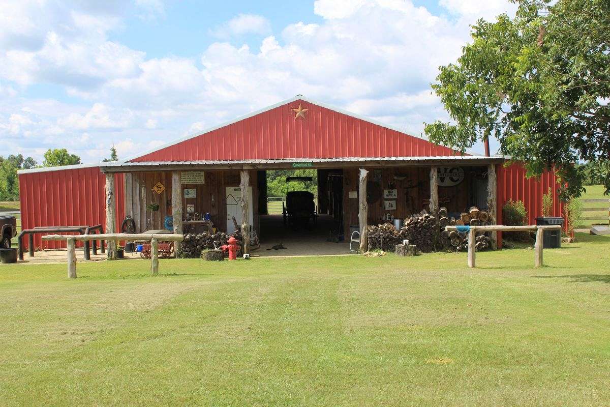 4D Foxtrotter Farm on EquineNow