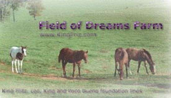 King Fritz Horses on EquineNow