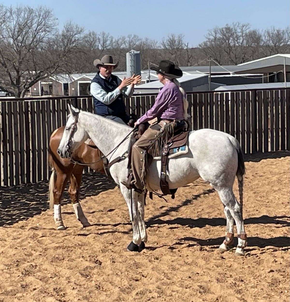 JK Versatility Performance Horses on EquineNow