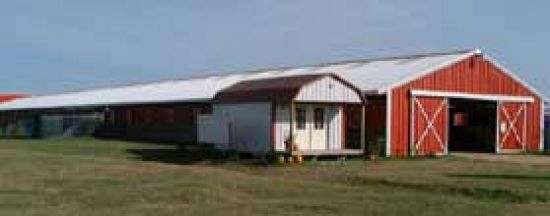 Blue Ribbon Meadows on EquineNow