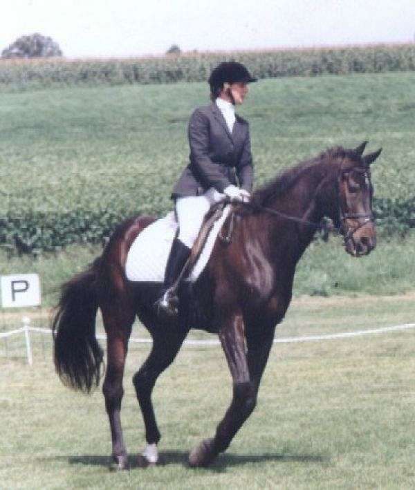 Diamond W Ranch on EquineNow