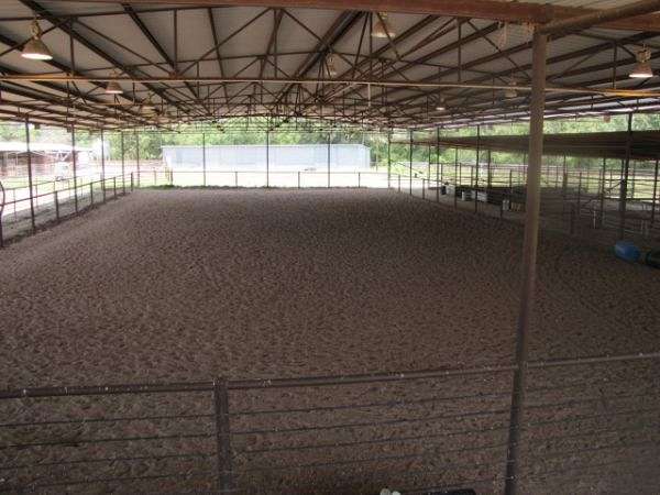 Stall and Oats on EquineNow