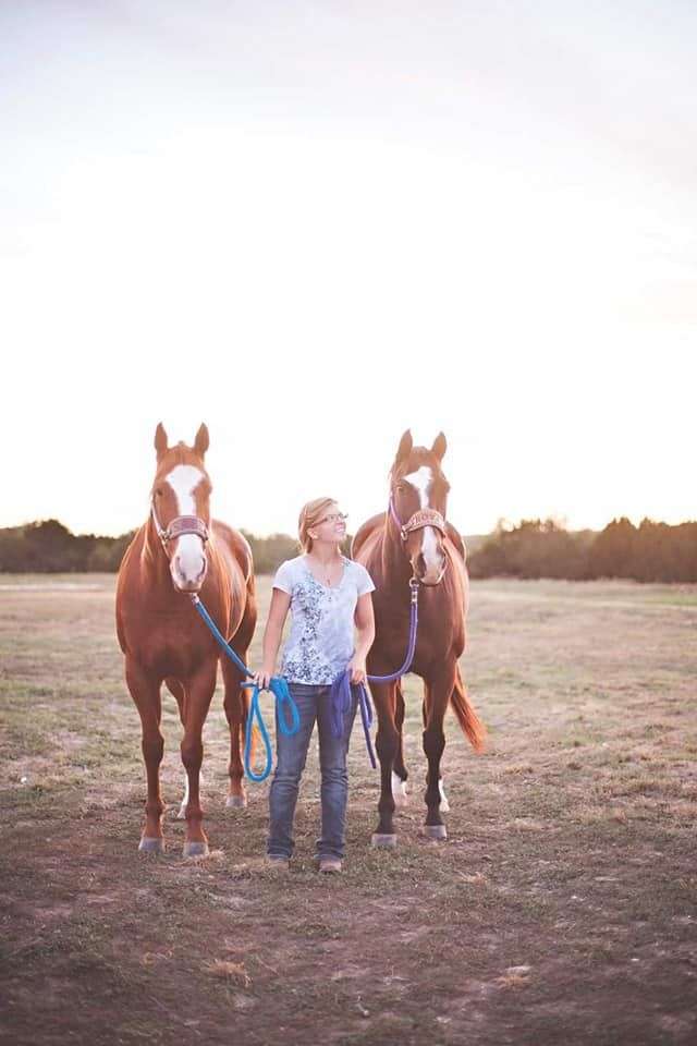 2B-Performance Horses on EquineNow