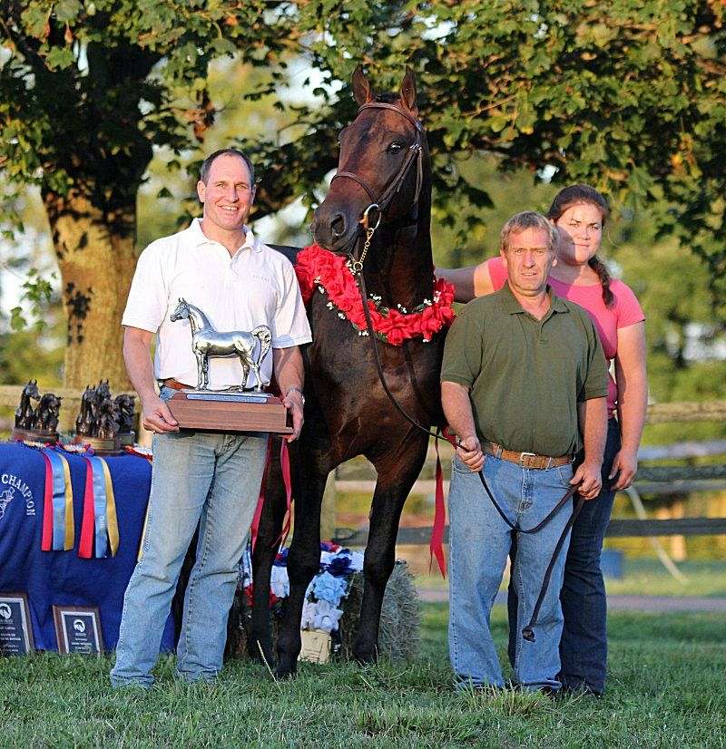 Randy Stoneback Arabians on EquineNow