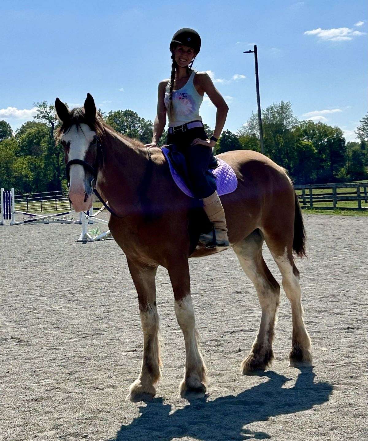 Nicole's Riding Lessons on EquineNow