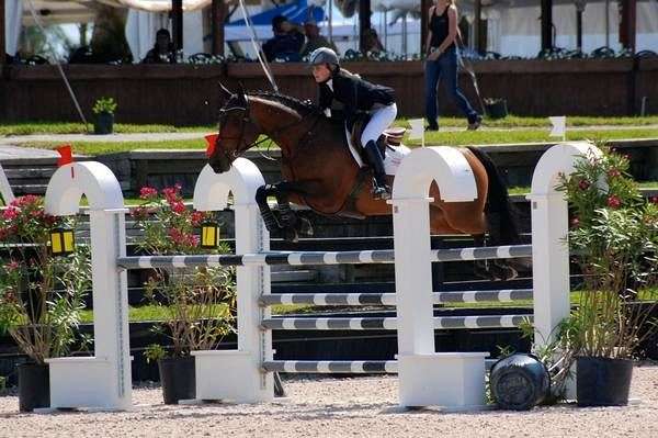 Errol Equestrian Center on EquineNow