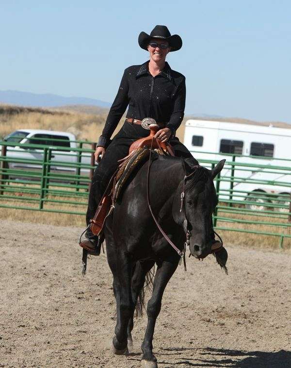 Onwards Equine on EquineNow