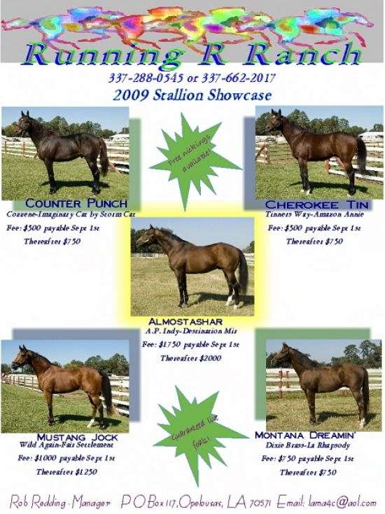 RUNNING R RANCH on EquineNow