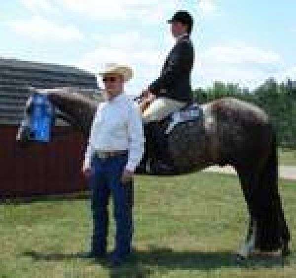 Baker Performance Horses on EquineNow