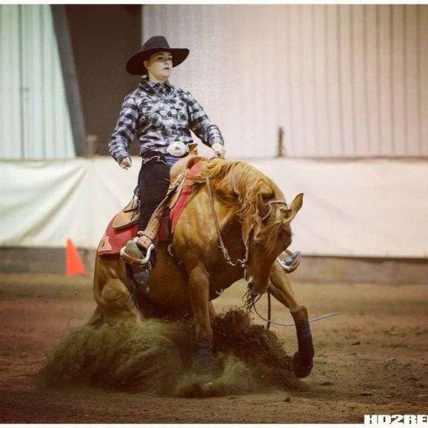 Taylor Ranch Co. on EquineNow