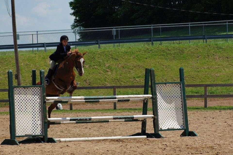 Cherry Run Farm Tack Shop on EquineNow
