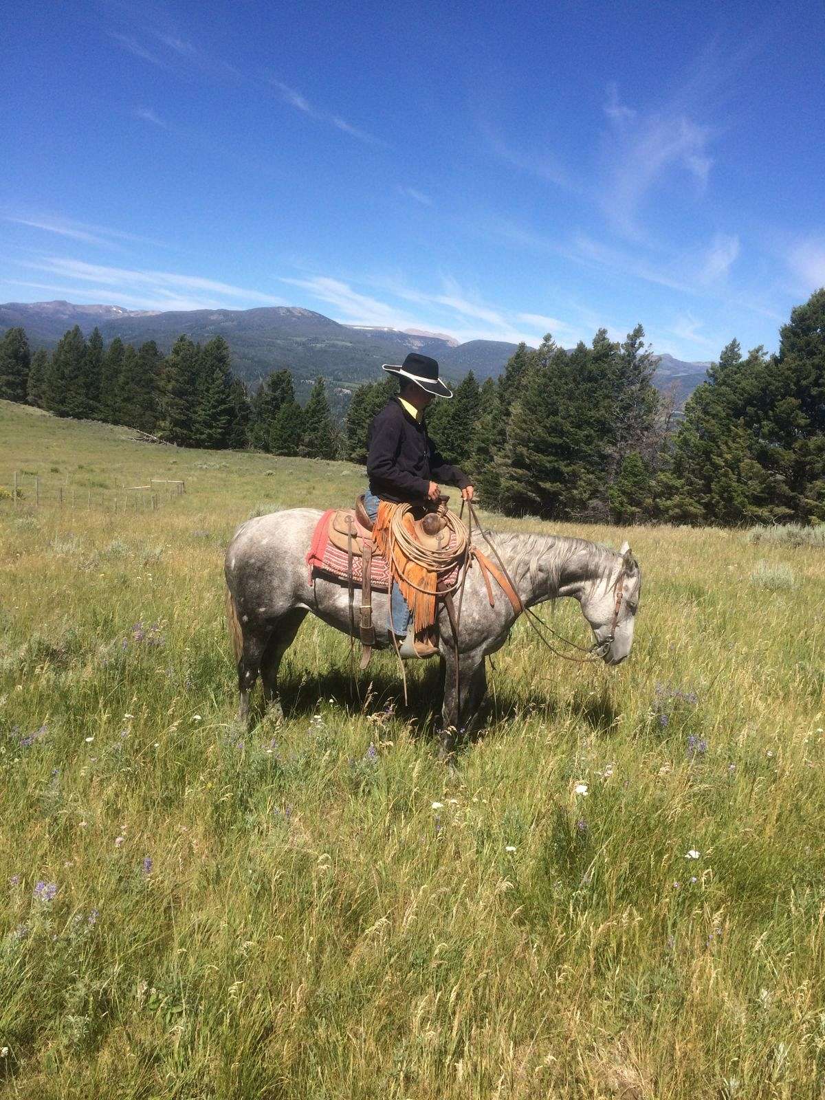 Carroll training and horse shoeing on EquineNow