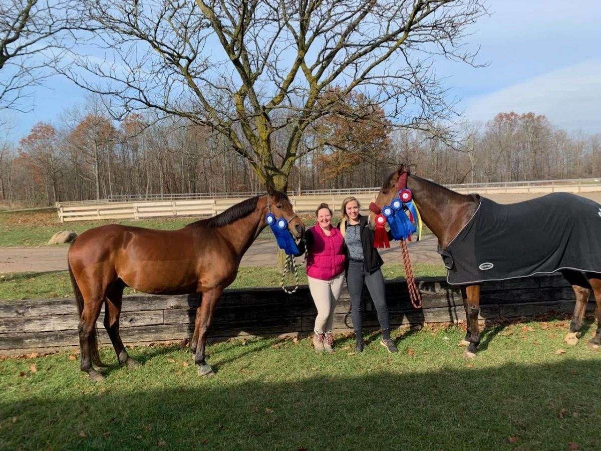 Medina on EquineNow