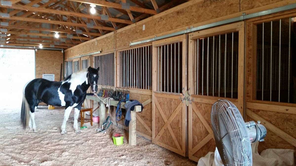 Rising Star Stables on EquineNow