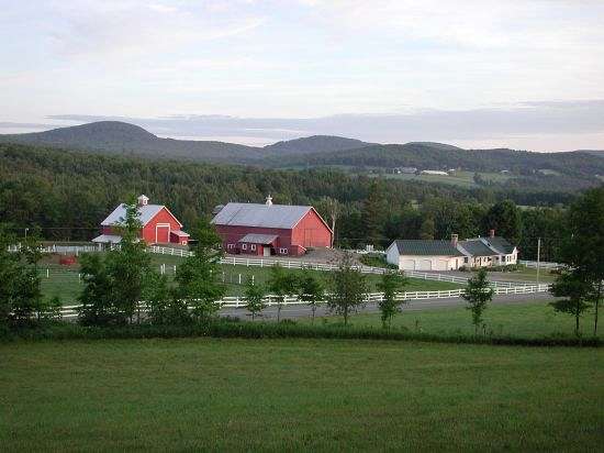 Cedar Grove Farm on EquineNow