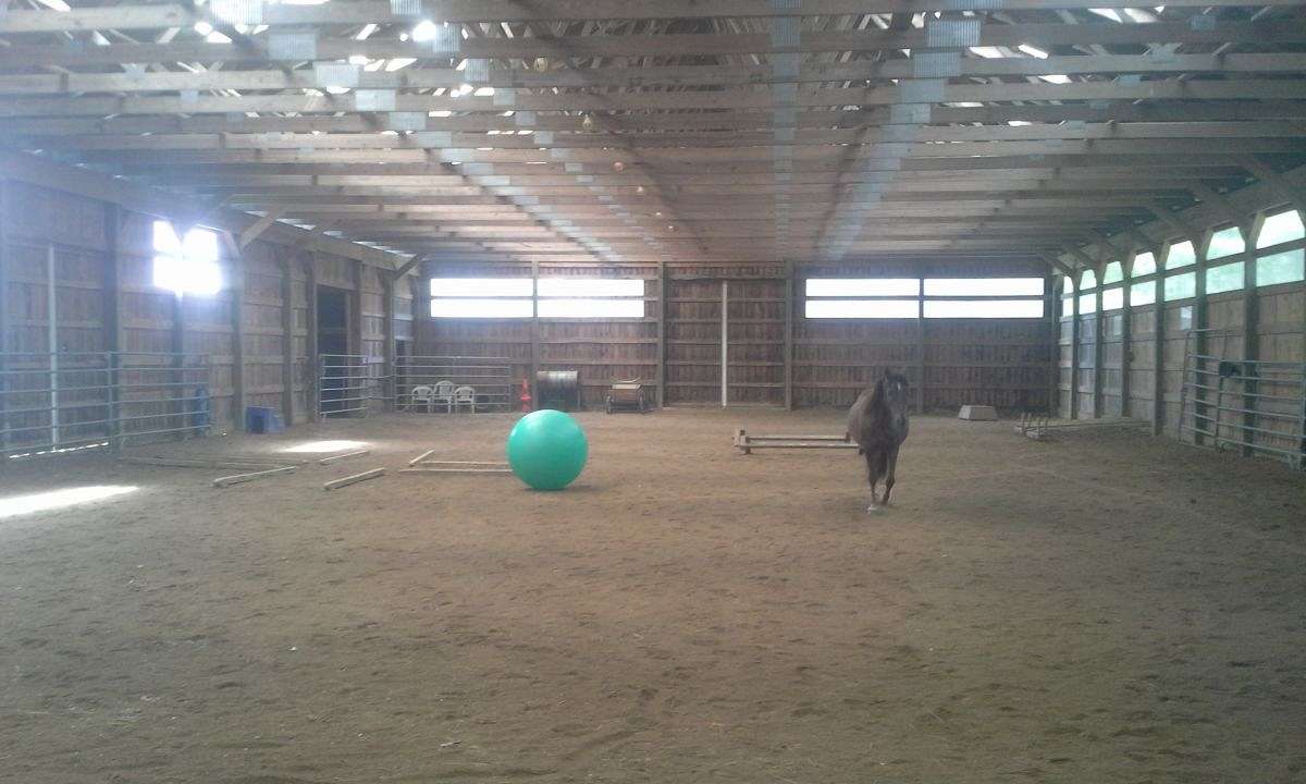 Loland Oaks Farm on EquineNow