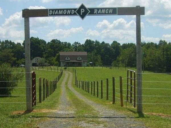 DIAMOND P RANCH on EquineNow