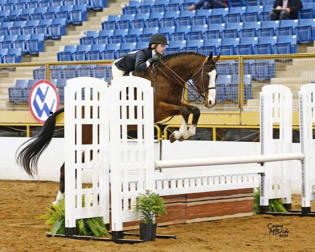 Wind Dancer Farm on EquineNow