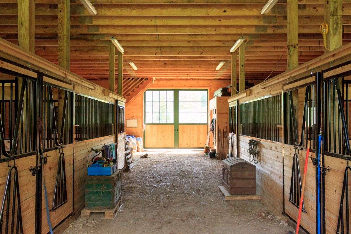 Great heron farm on EquineNow