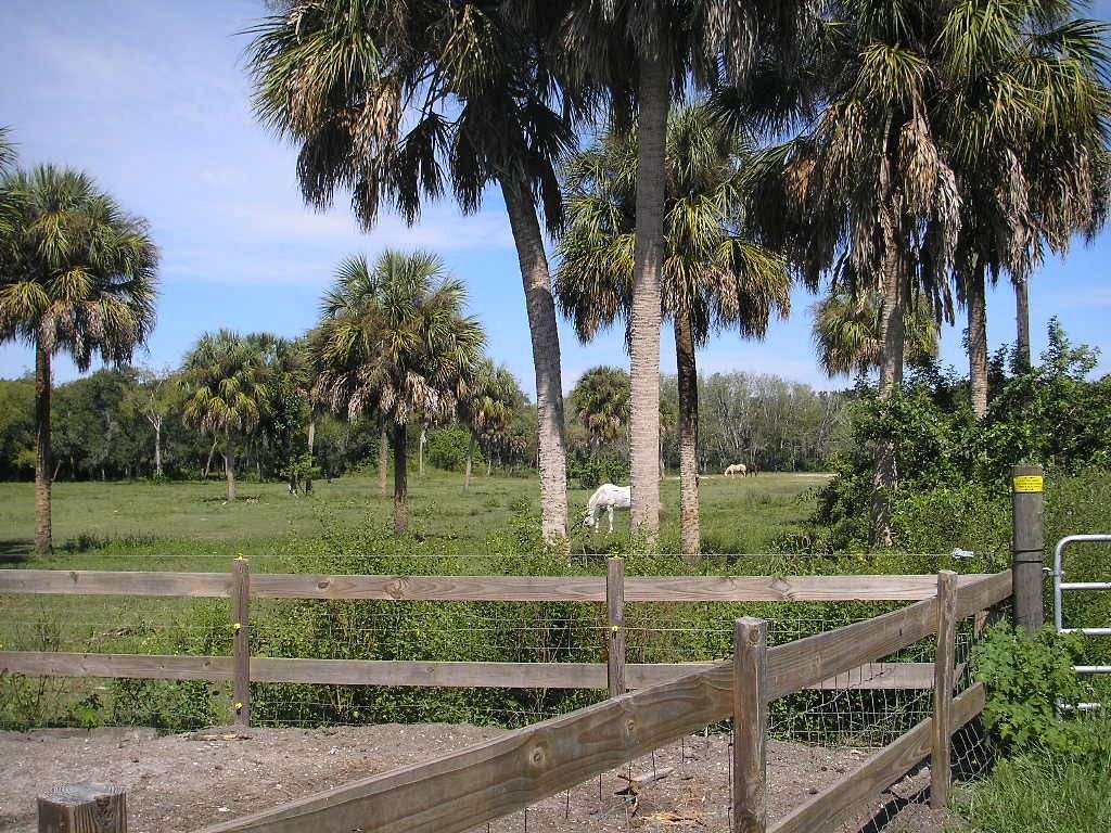 Buffalo Creek Stables on EquineNow