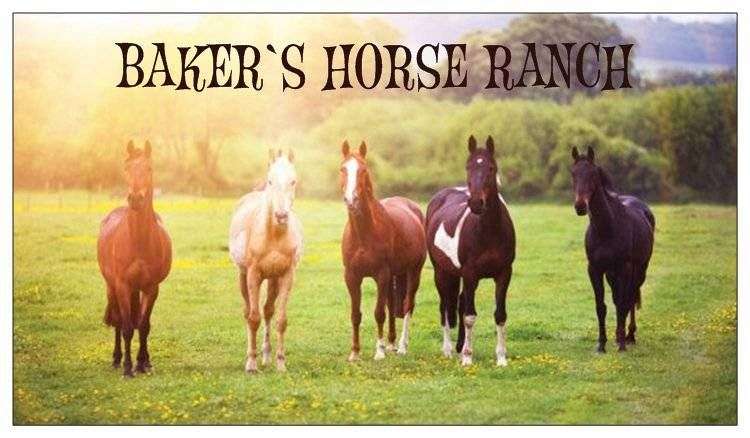BAKERS HORSE RANCH on EquineNow