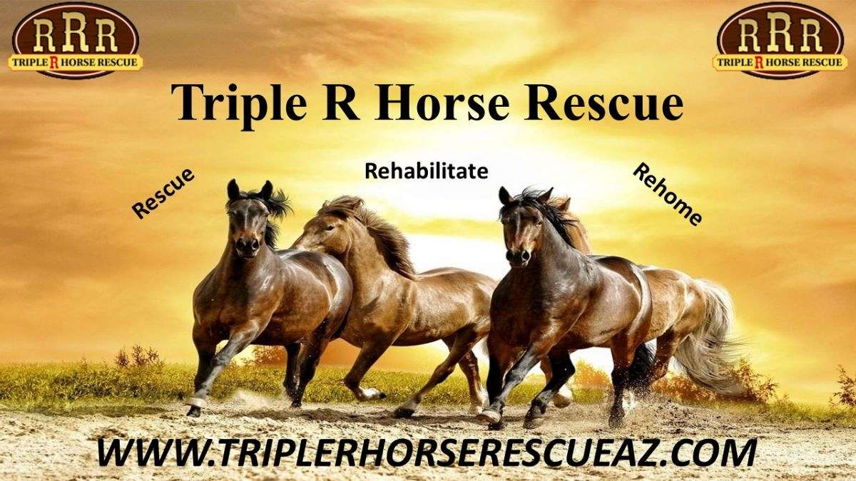 Triple R Horse Rescue of Az on EquineNow